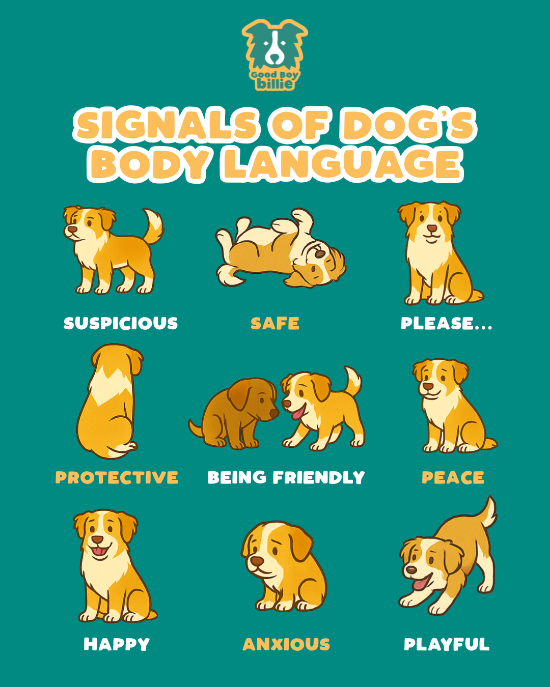 Signal of Your Dog's Body Language: What Their Emotions Are Really Say ...